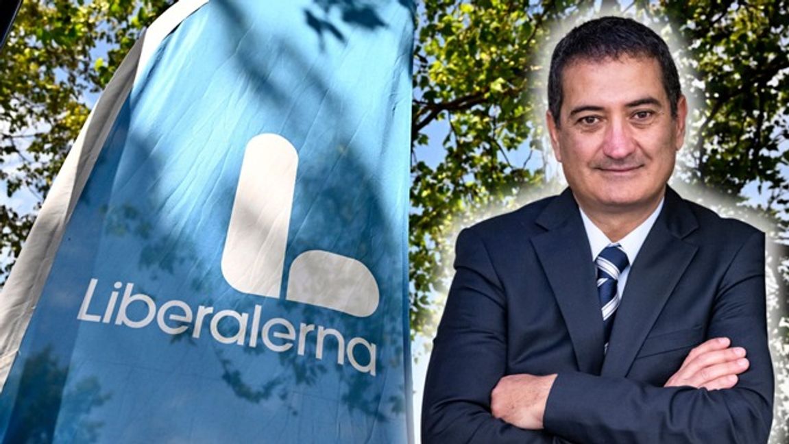 Egyptson: Liberalerna – partiet som splittrar för att överleva