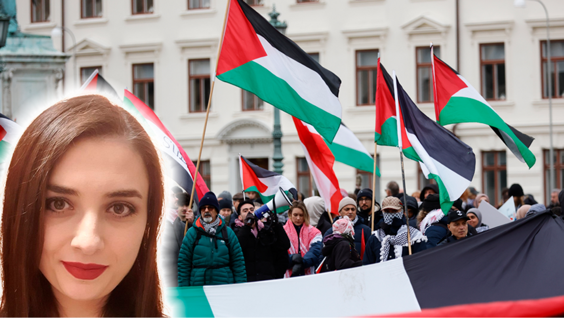 Linn Johansson: Därför hatar mina gamla vänner i vänstern väst