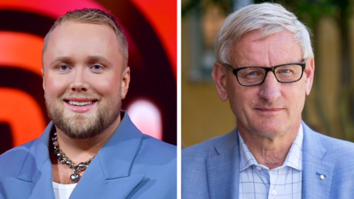 Törnblom träffar Bildt istället för statsministern – partiet visste inte