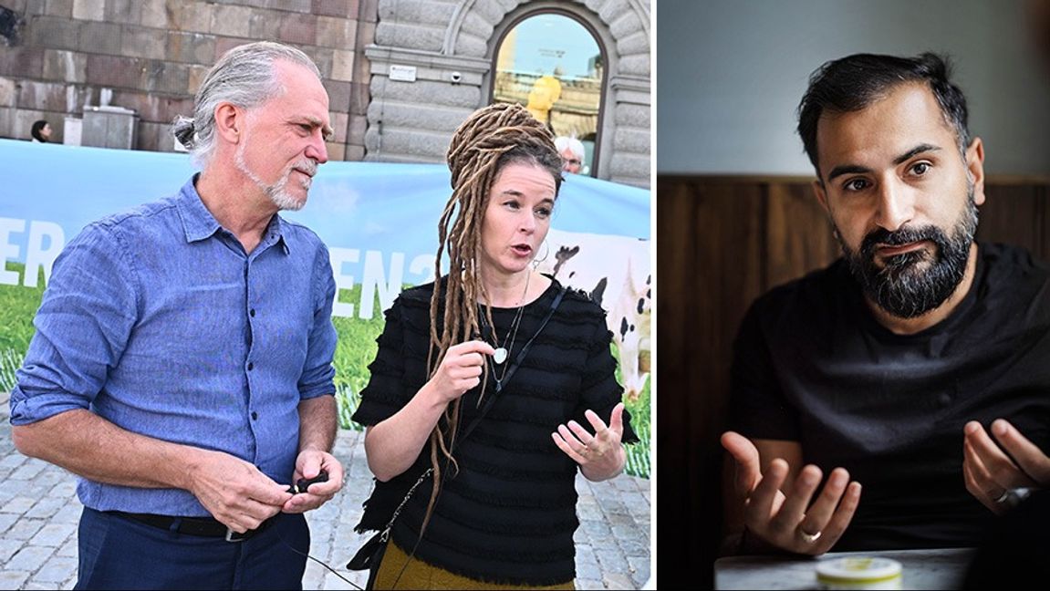 Hanif Bali: ”Till och med MP skäms över woke idag”