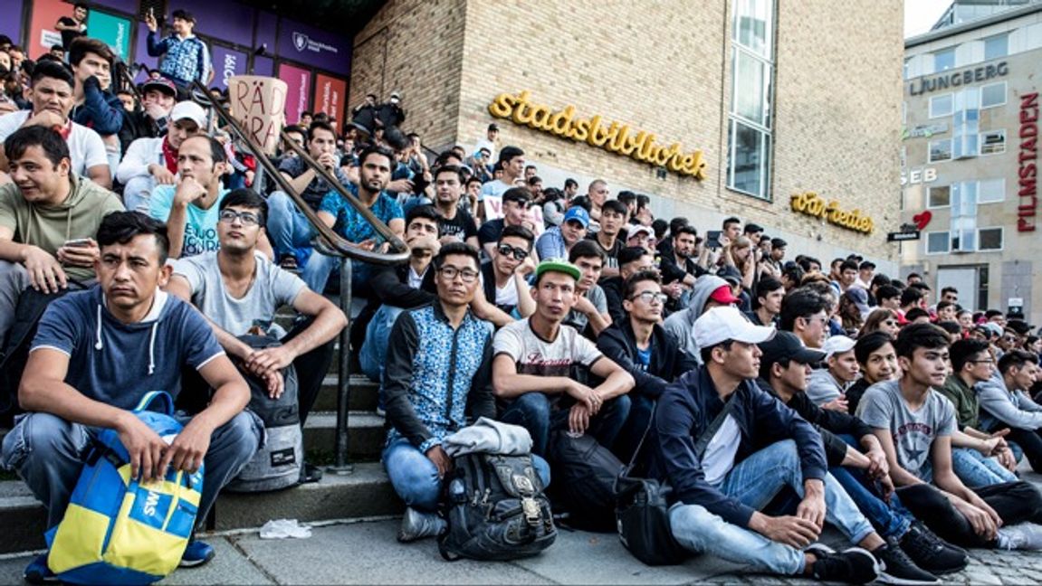 63 000 nya medborgarskap har hittills delats ut i år – syrier i topp