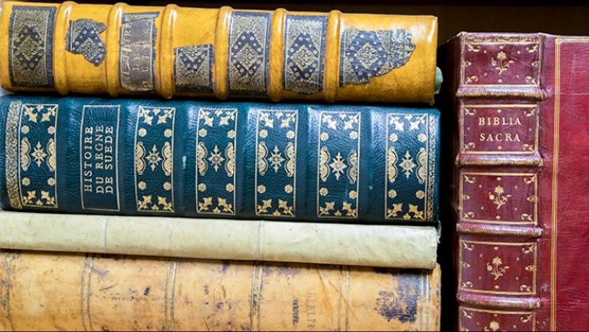 Essä: Sverigedemokraternas verkliga rötter