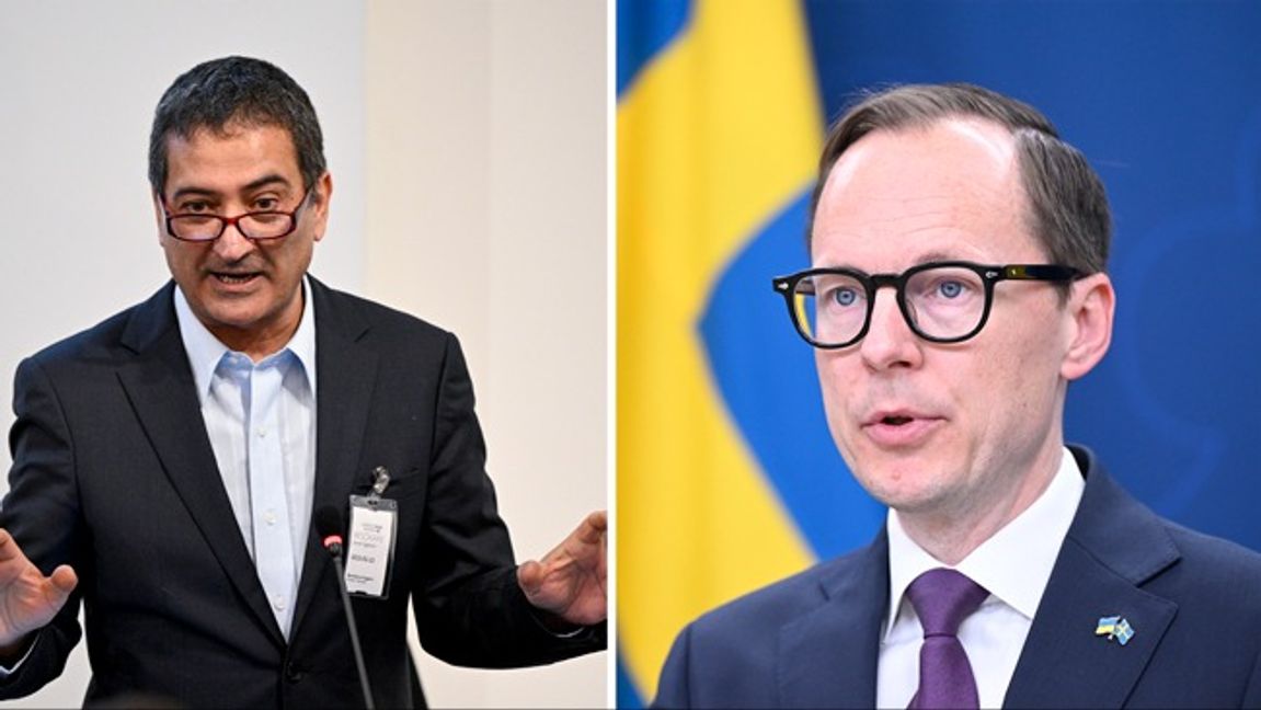 Uppgifter: Ministern nobbar forskaren Egyptson i expertgrupp om ...